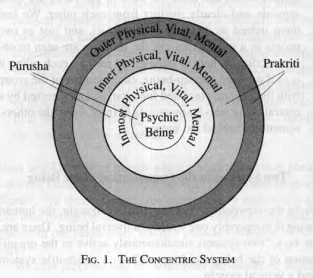 Our Many Selves by Sri Aurobindo and 'The Mother' : eBook